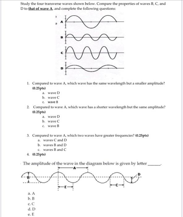 Solved Study the four transverse waves shown below. Compare | Chegg.com
