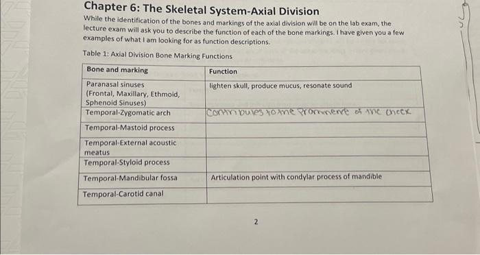 Solved Chapter 6: The Skeletal System-Axial Division While | Chegg.com
