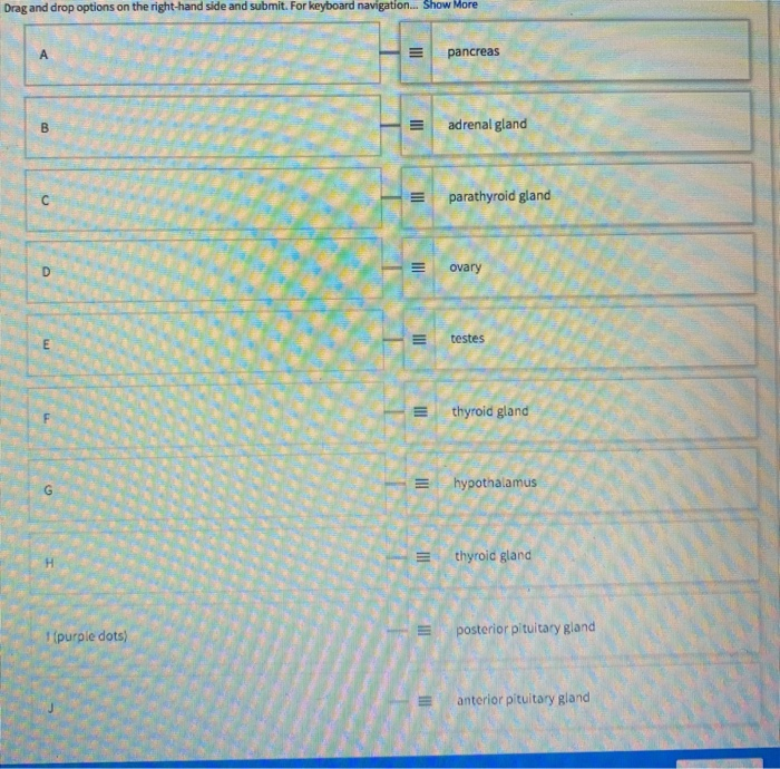 Solved Drag and drop options on the right-hand side and | Chegg.com