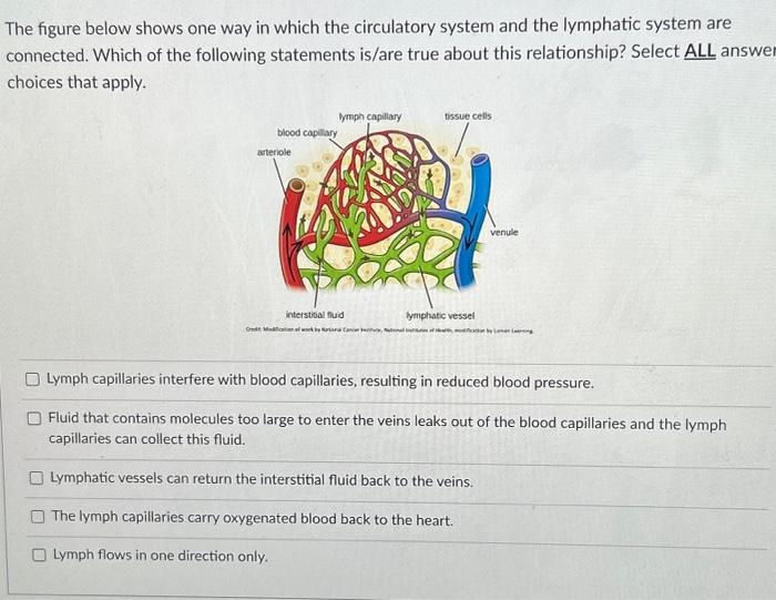 Solved The figure below shows one way in which the | Chegg.com