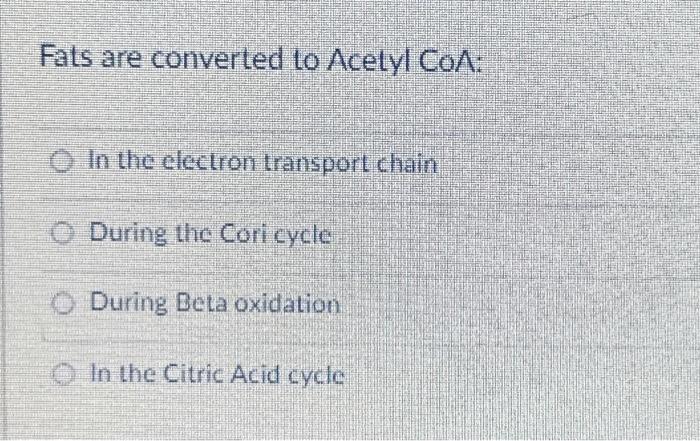 Solved Fats are converted to Acetyl CoA: In the electron | Chegg.com