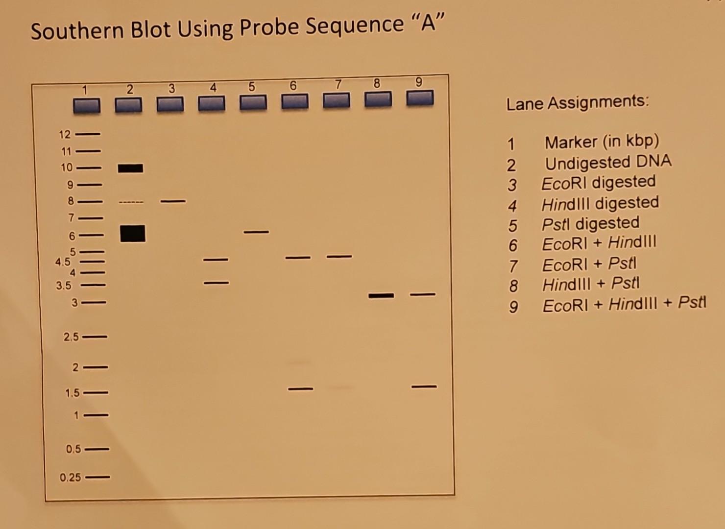 (20 points) The attached figures represent an | Chegg.com