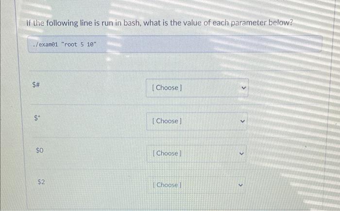 Solved If the following line is run in bash, what is the | Chegg.com