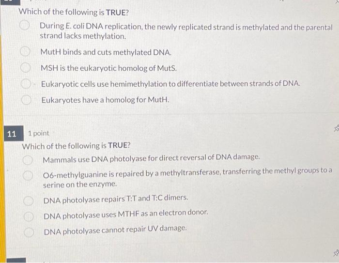 Solved Which of the following is TRUE? During E. coli DNA | Chegg.com