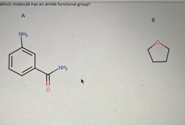 Solved Which molecule has an amide functional group? А B NH2 | Chegg.com