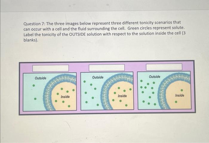 Solved Question 7: The three images below represent three | Chegg.com