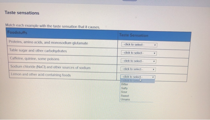 Solved Taste sensations Match each example with the taste | Chegg.com
