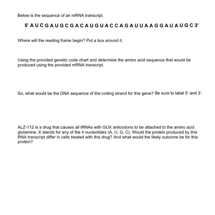 Solved Below is the sequence of an mRNA transcript. Where | Chegg.com