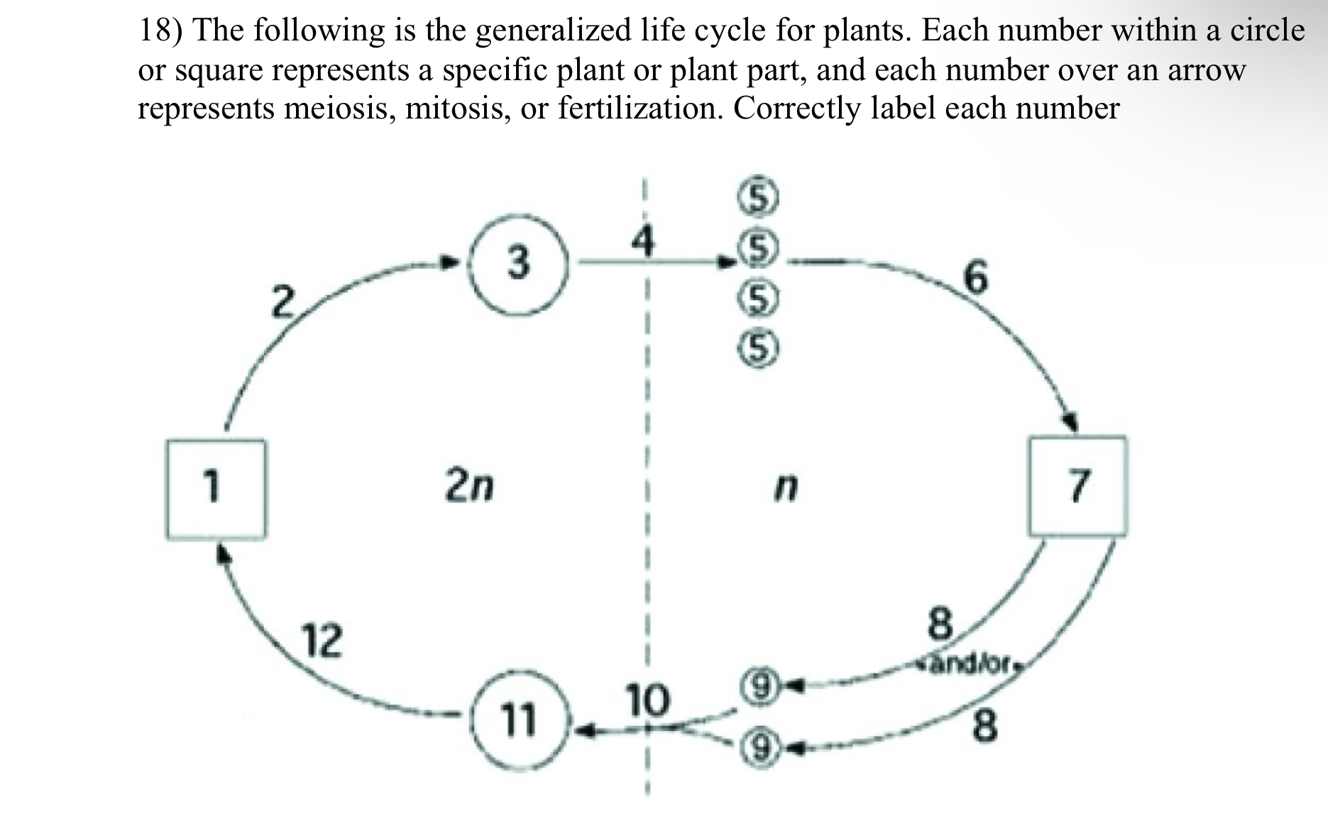 Solved The following is the generalized life cycle for | Chegg.com