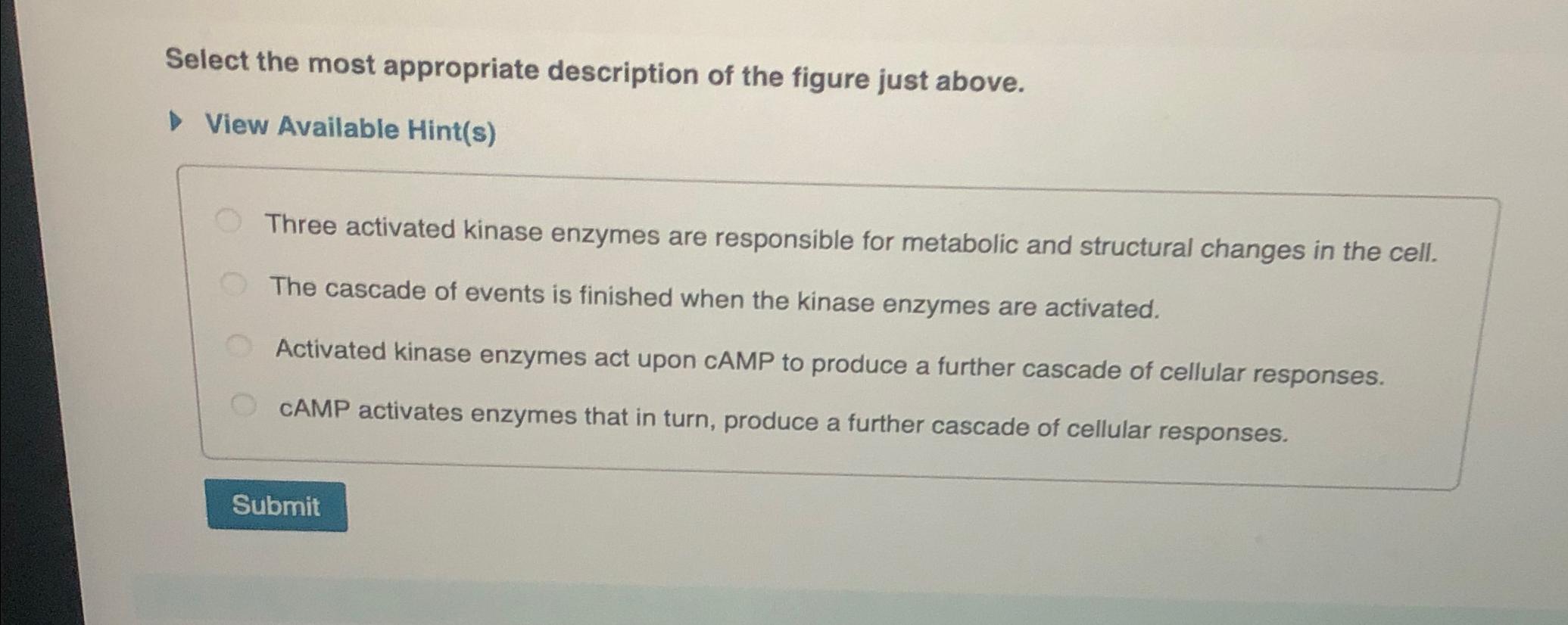 Solved Select the most appropriate description of the figure | Chegg.com