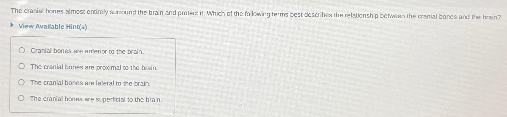 Solved The cranial bones almost entirely surround the brain | Chegg.com