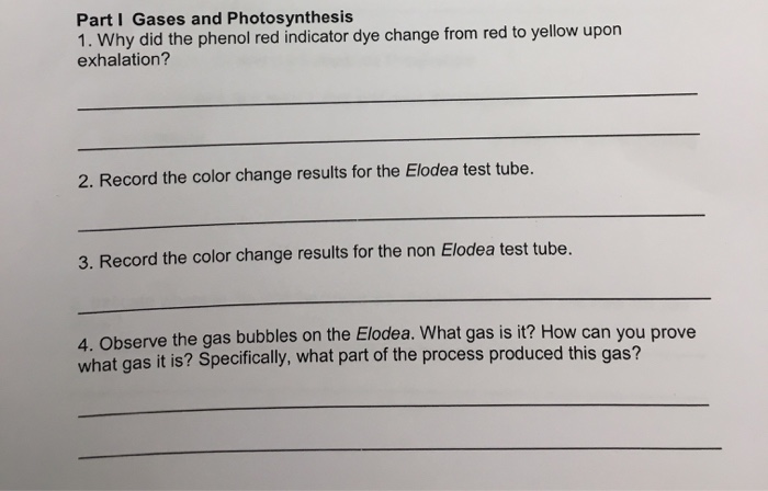 Solved Part I Gases and Photosynthesis 1. Why did the phenol | Chegg.com