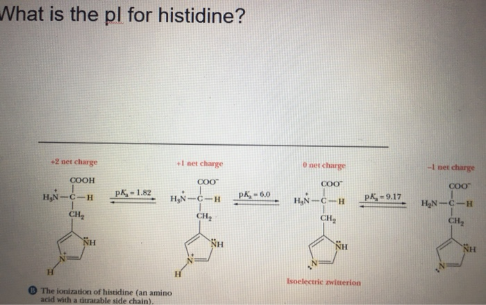 Solved Using the chart below, determine the net charge on | Chegg.com