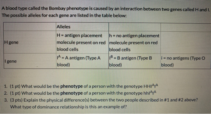 Solved Ablood type called the Bombay phenotype is caused by | Chegg.com