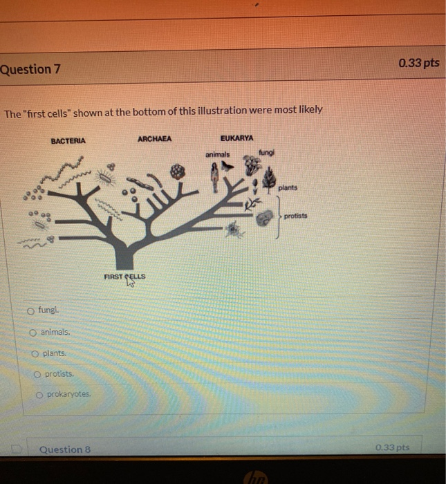 Solved the first cells shown at the bottom of this | Chegg.com
