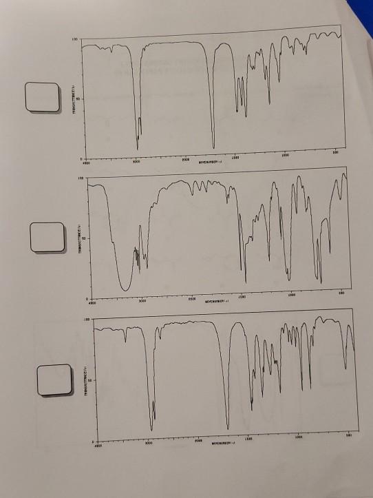 ORGANIC CHEMISTRY LABORATORY I INFRARED SPECTROSCOPY | Chegg.com
