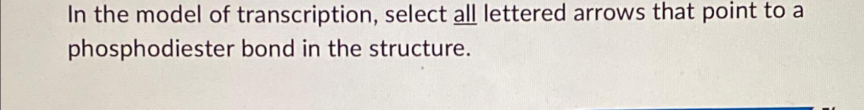 Solved In the model of transcription, select all lettered | Chegg.com