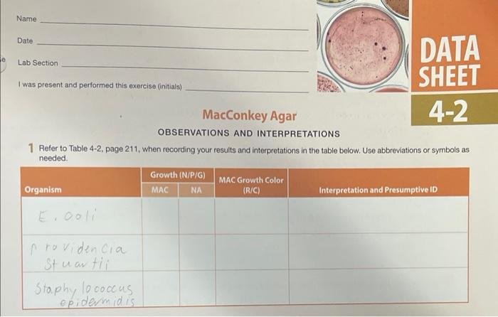 Solved OBSERVATIONS AND INTERPRETATIONS 1 Refer to Table | Chegg.com