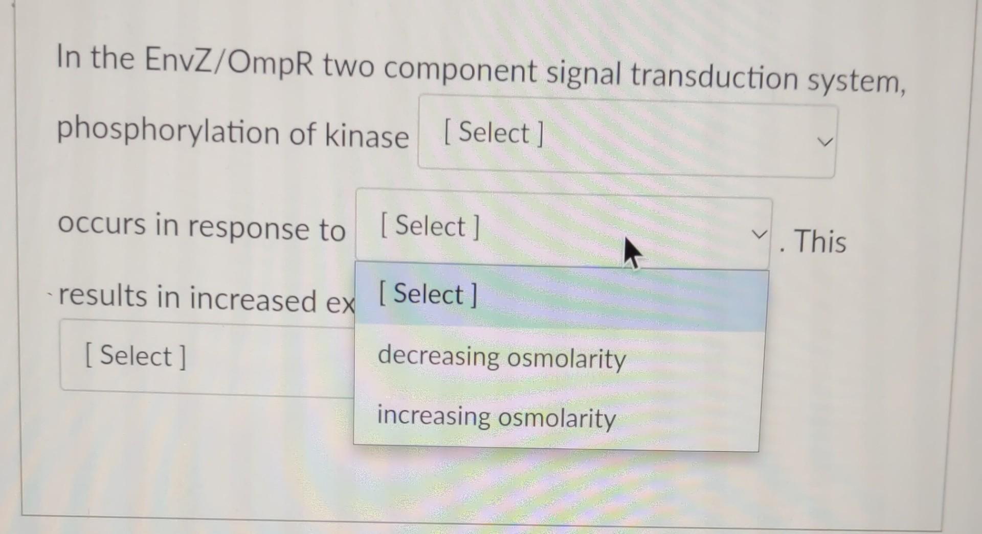 Solved In the EnvZ/OmpR two component signal transduction | Chegg.com