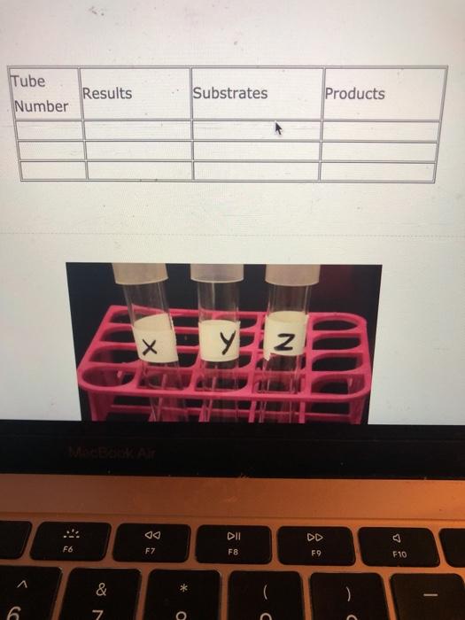 Solved Organisms X, Y and Z have been inoculated for urease | Chegg.com