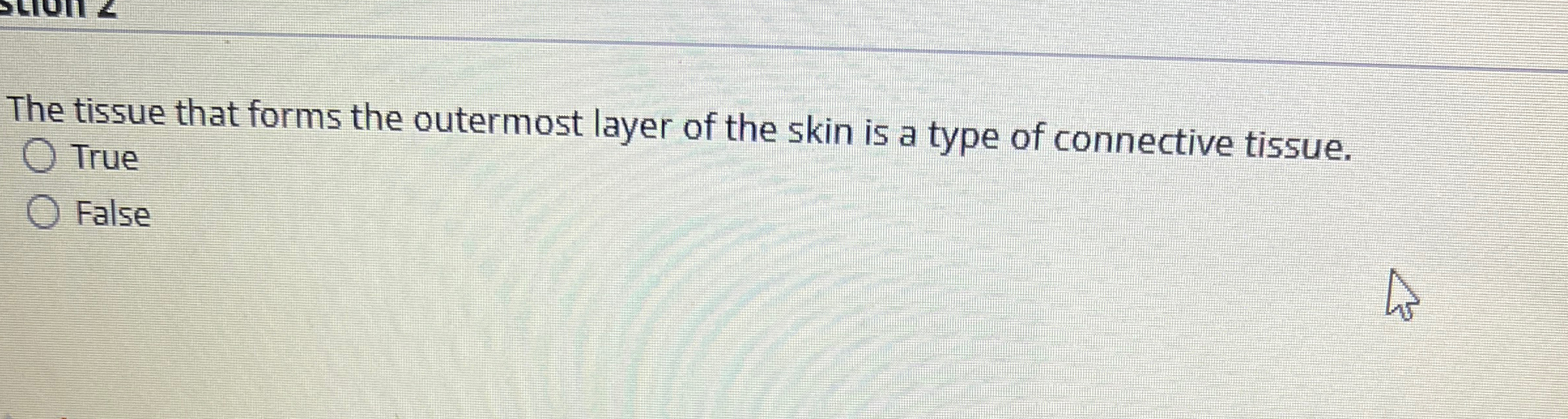 Solved The tissue that forms the outermost layer of the skin | Chegg.com
