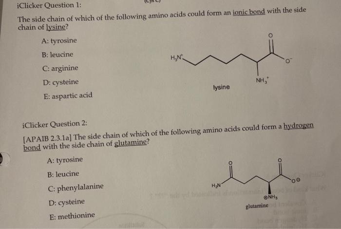 Solved iClicker Question 1: The side chain of which of the | Chegg.com
