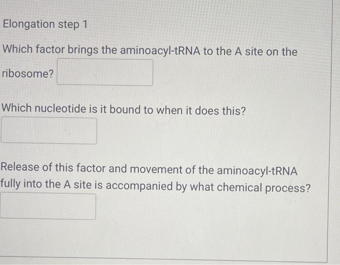 Solved Elongation step 1 Which factor brings the | Chegg.com