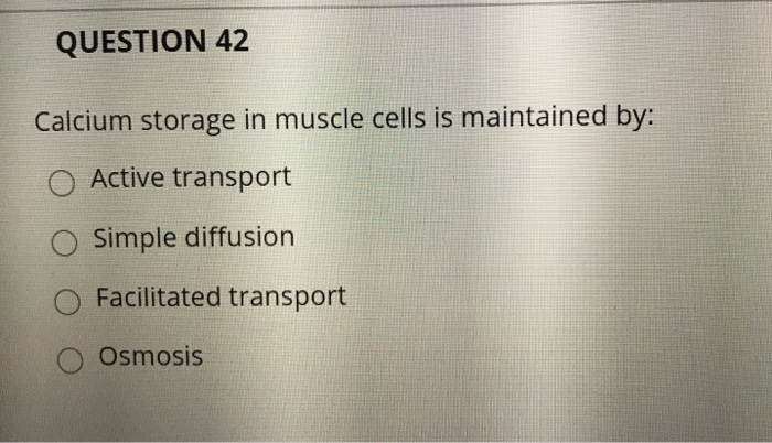 Solved QUESTION 42 Calcium storage in muscle cells is | Chegg.com