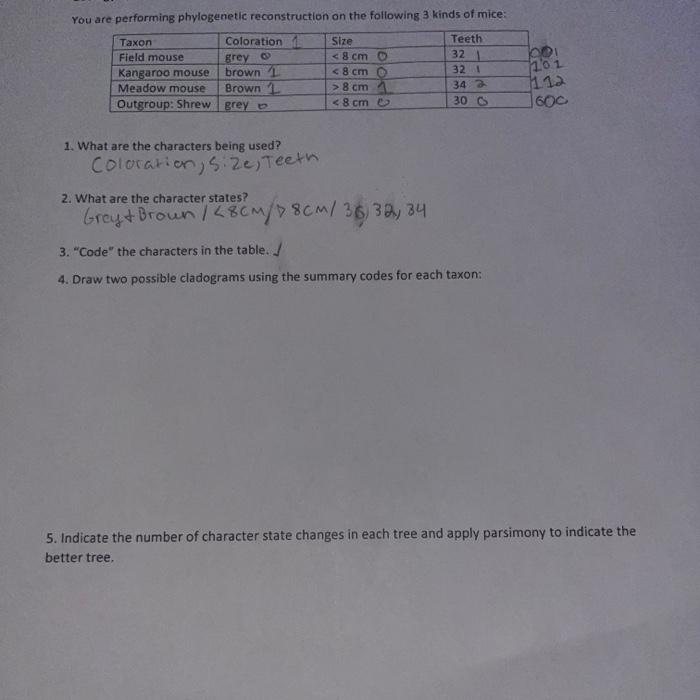 Solved You are performing phylogenetic reconstruction on the | Chegg.com