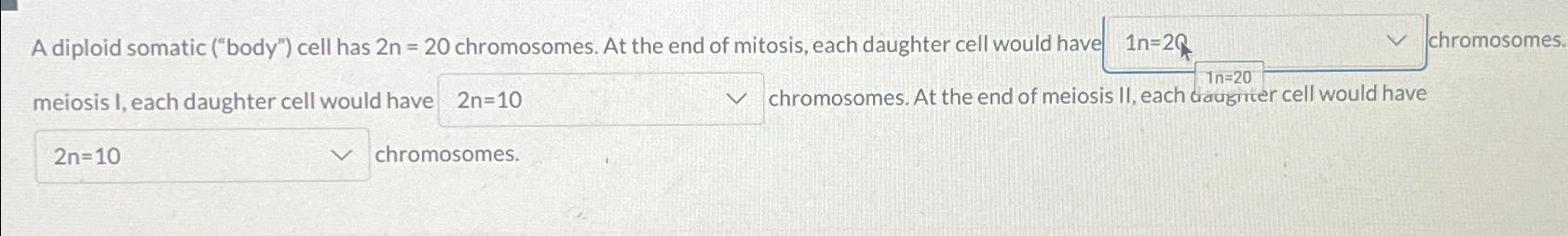 Solved A diploid somatic ("body") ﻿cell has 2n=20 | Chegg.com