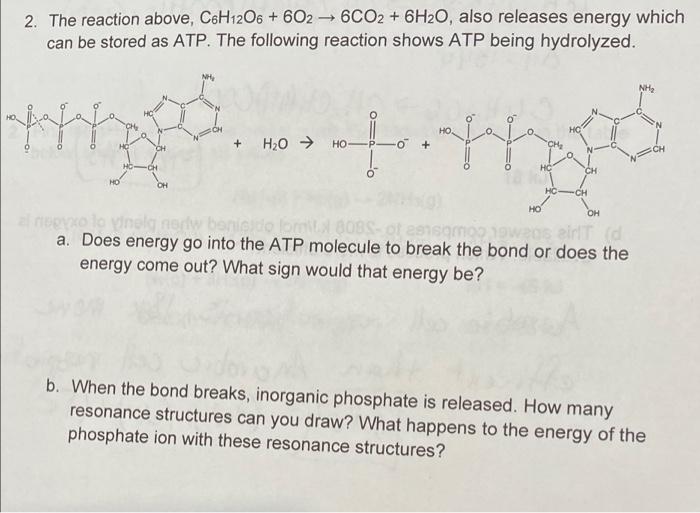 Solved 2. The reaction above, C6H12O6 + 602 — 6CO2 + 6H20, | Chegg.com