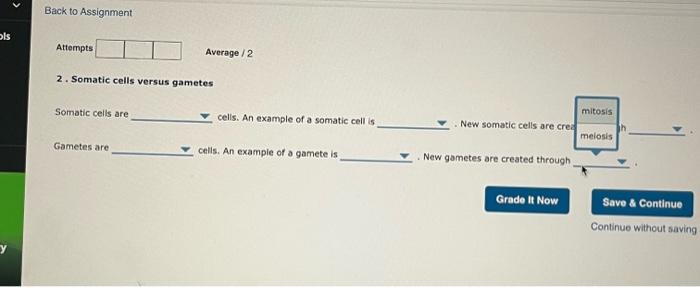 Solved Back to Assignment Attempts Average/2 2. Somatic cell | Chegg.com