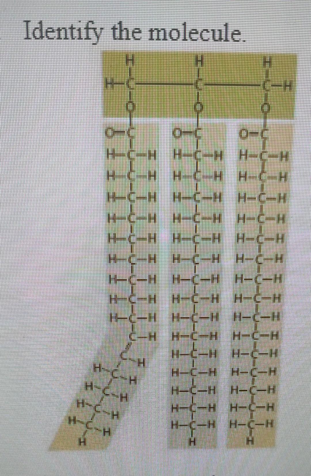 Identify the molecule. | Chegg.com