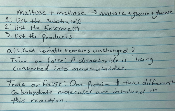 Solved maltose + maltase → maltase tglucose + glucose 1. | Chegg.com