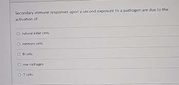 Solved Secondary immune responses upon a second exposure to | Chegg.com