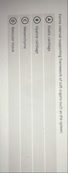 Solved Forms internal supporting framework of soft organs | Chegg.com