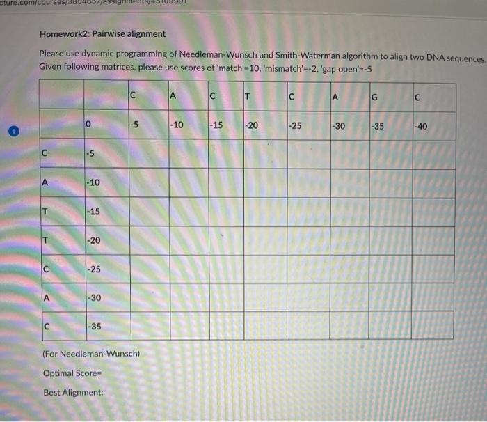 Solved Please Help Me With The Needleman Wunsch Algorithm 