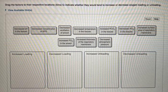 Solved Drag the factors to their respective locations (bins) | Chegg.com