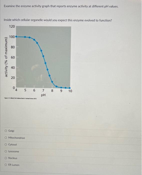 Solved Examine the enzyme activity graph that reports enzyme | Chegg.com