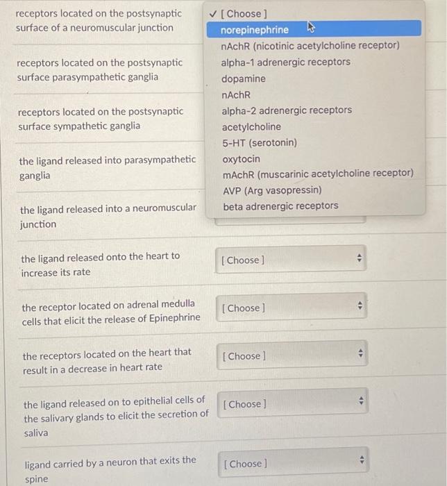 Solved receptors located on the postsynaptic surface of a | Chegg.com
