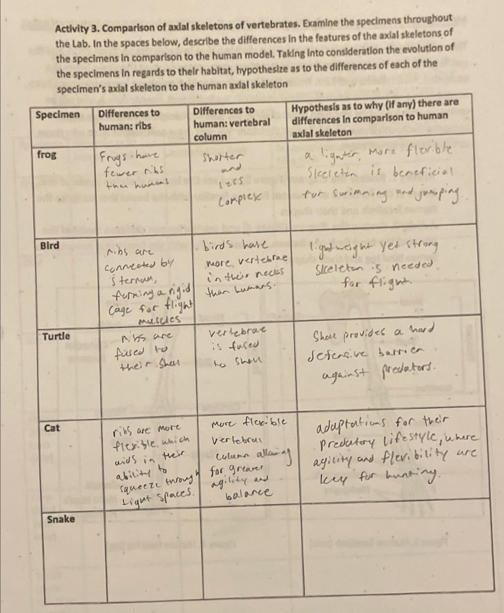 Solved Activity 3. ﻿Comparison of axdal skeletons of | Chegg.com