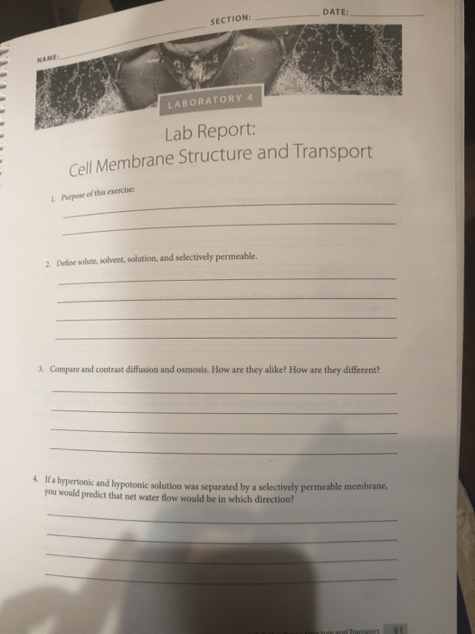 Solved DATE: SECTION: LABORATORY 4 Lab Report: Cell Membrane | Chegg.com