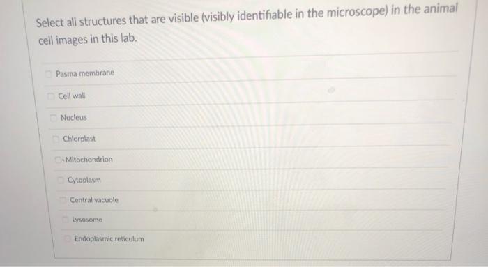 Solved Select all structures that are visible (visibly | Chegg.com