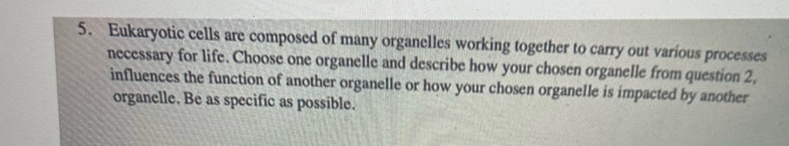 Solved Eukaryotic cells are composed of many organelles | Chegg.com