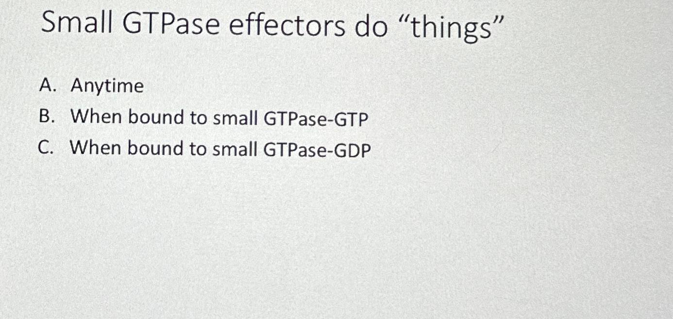 Solved Small GTPase effectors do "things"A. ﻿AnytimeB. ﻿When | Chegg.com