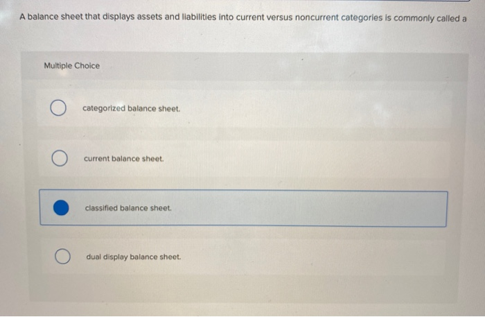 Solved A balance sheet that displays assets and liabilities | Chegg.com