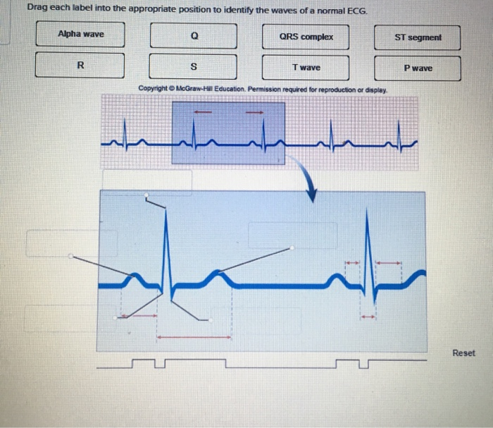 Solved: Drag Each Label Into The Appropriate Position To I... | Chegg.com