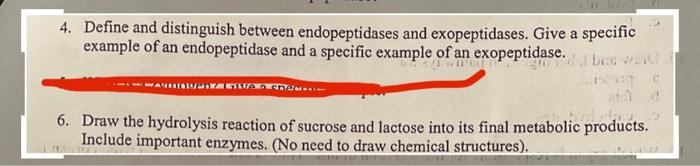 Solved 4. Define and distinguish between endopeptidases and | Chegg.com