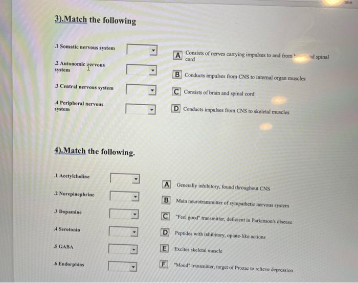 Solved 1)Classify each of the following bones based on their | Chegg.com
