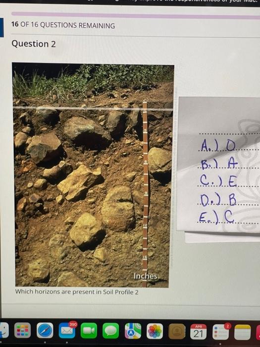 Solved Help elearning- Home | ACTC My Path - Home ebpage is | Chegg.com